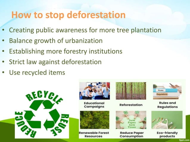 save trees _Presentation_environment.pptx | Environment | Science