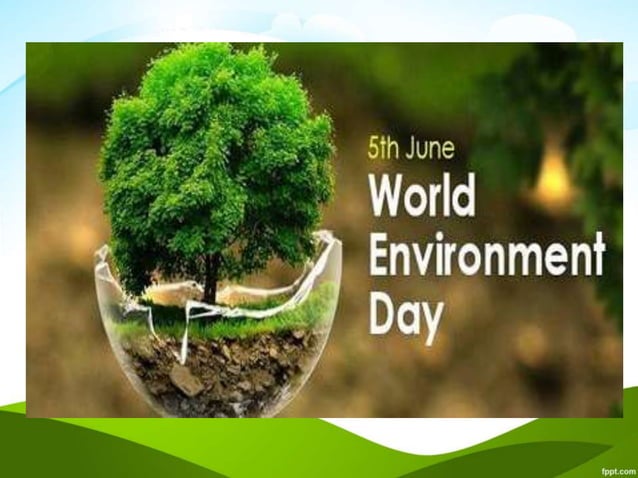 save trees _Presentation_environment.pptx | Environment | Science