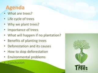 save trees _Presentation_environment.pptx