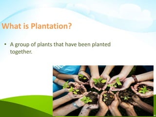 save trees _Presentation_environment.pptx