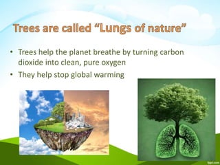 save trees_environment_Pranaya_4B-new.pptx