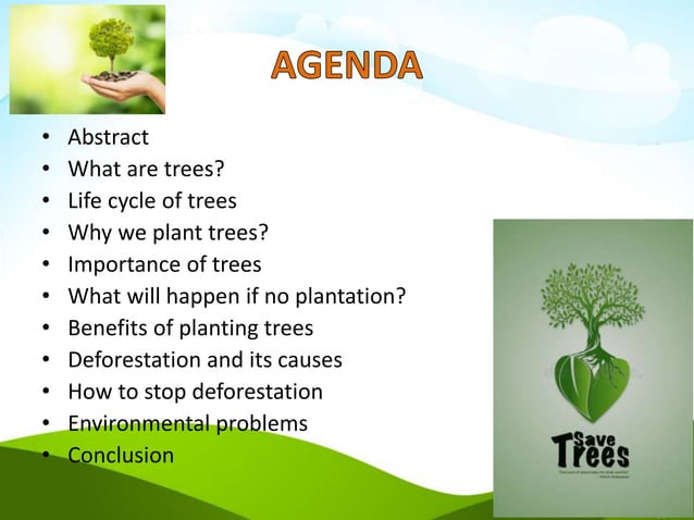 save trees_environment_Pranaya_4B-new.pptx