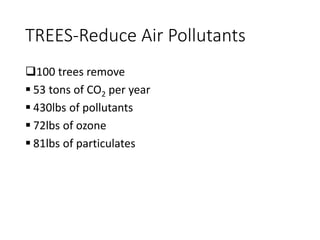 Save trees save earth | PPTX