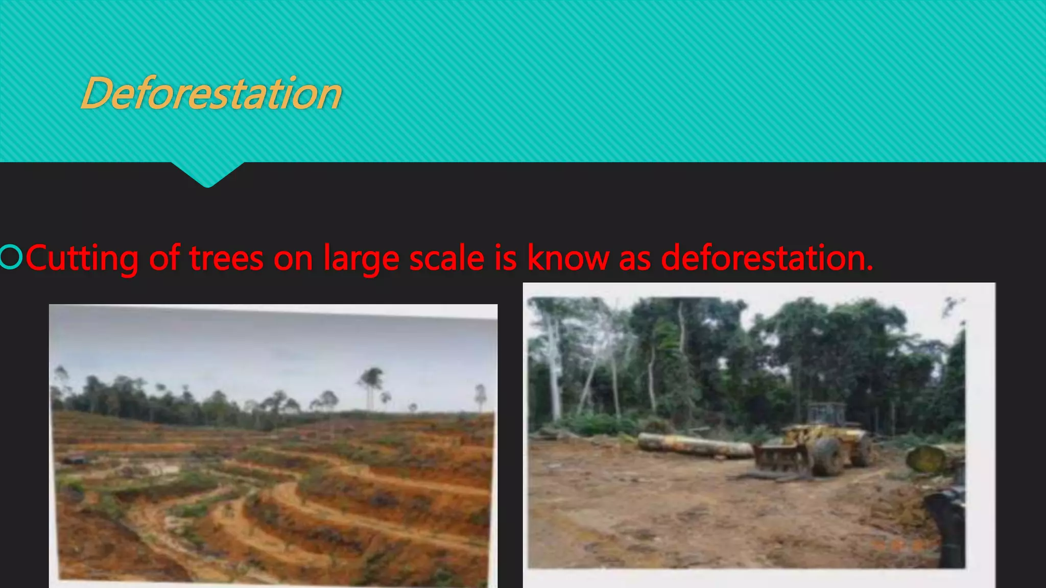 SAVE TREES SAVE LIFE.pptx