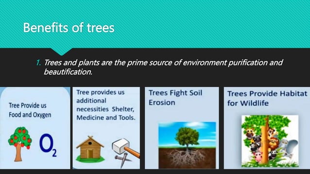 SAVE TREES SAVE LIFE.pptx | Environment | Science