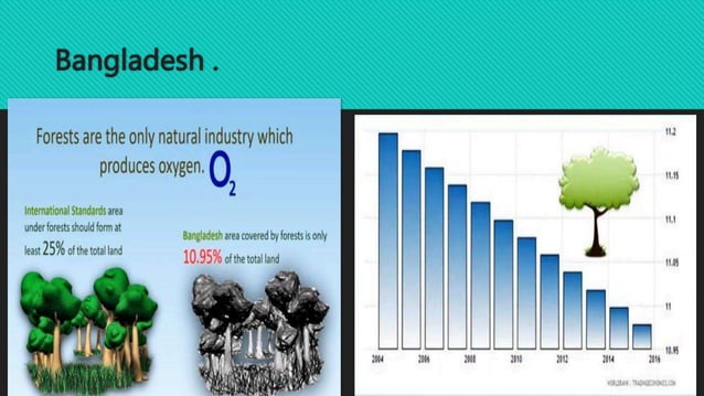 SAVE TREES SAVE LIFE.pptx