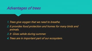 SAVE TREES SAVE LIFE.pptx