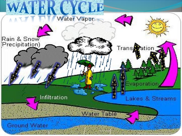 Save water | PPT