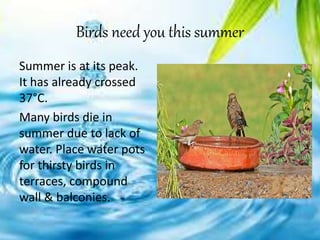 Save water | PPTX