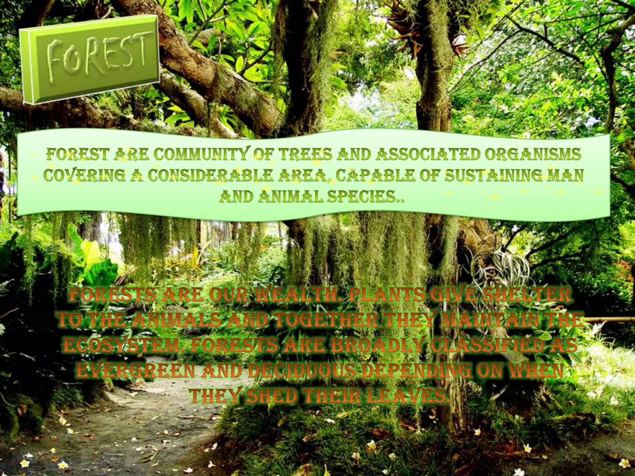 Save wildlife and forest | PPTX