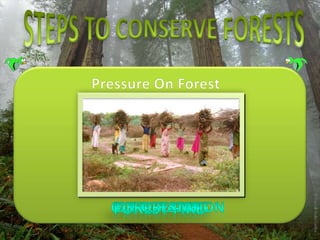 Save wildlife and forest | PPTX
