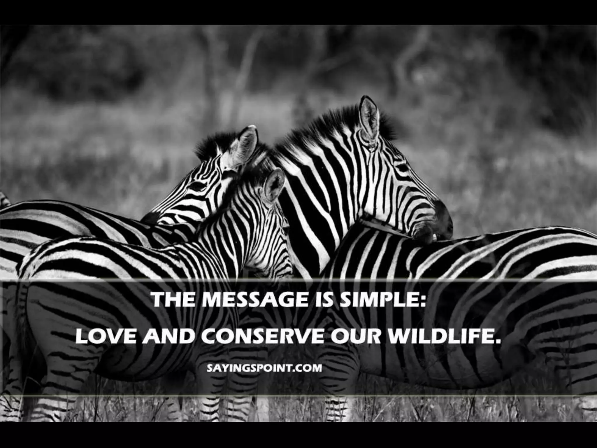 Save Wildlife Quotes and Sayings | PPTX