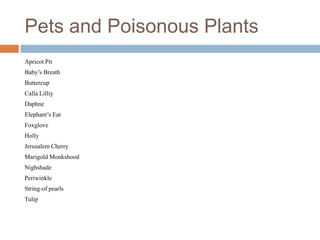 Save your therapy animal | PPTX