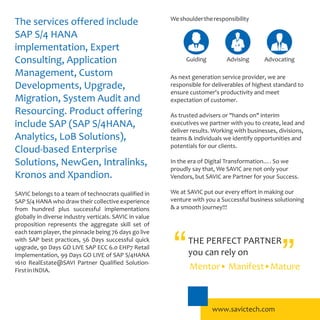 Savic corporate brochure | PDF