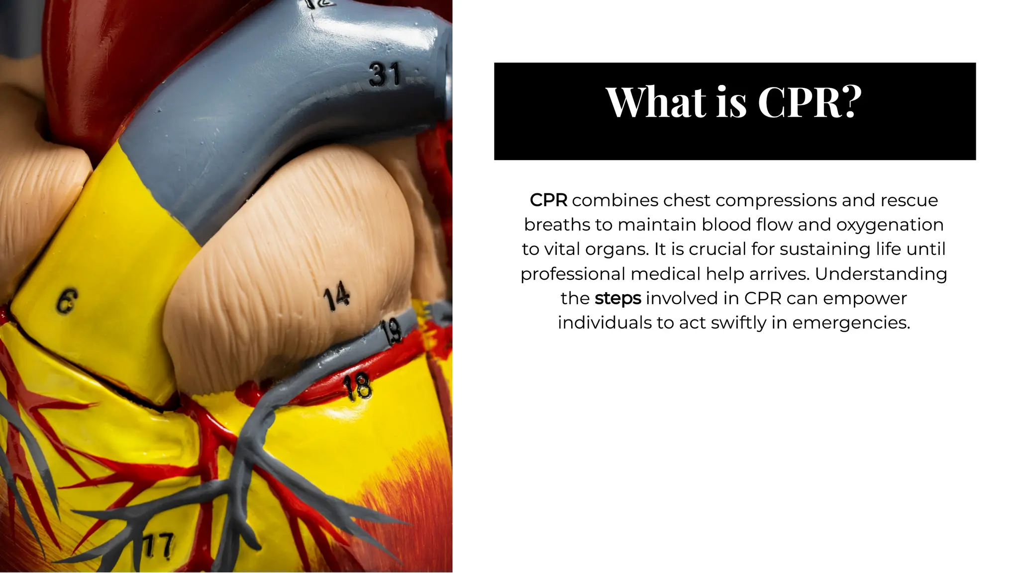 Saving-lives-the-crucial-importance-of-knowing-cpr | PDF
