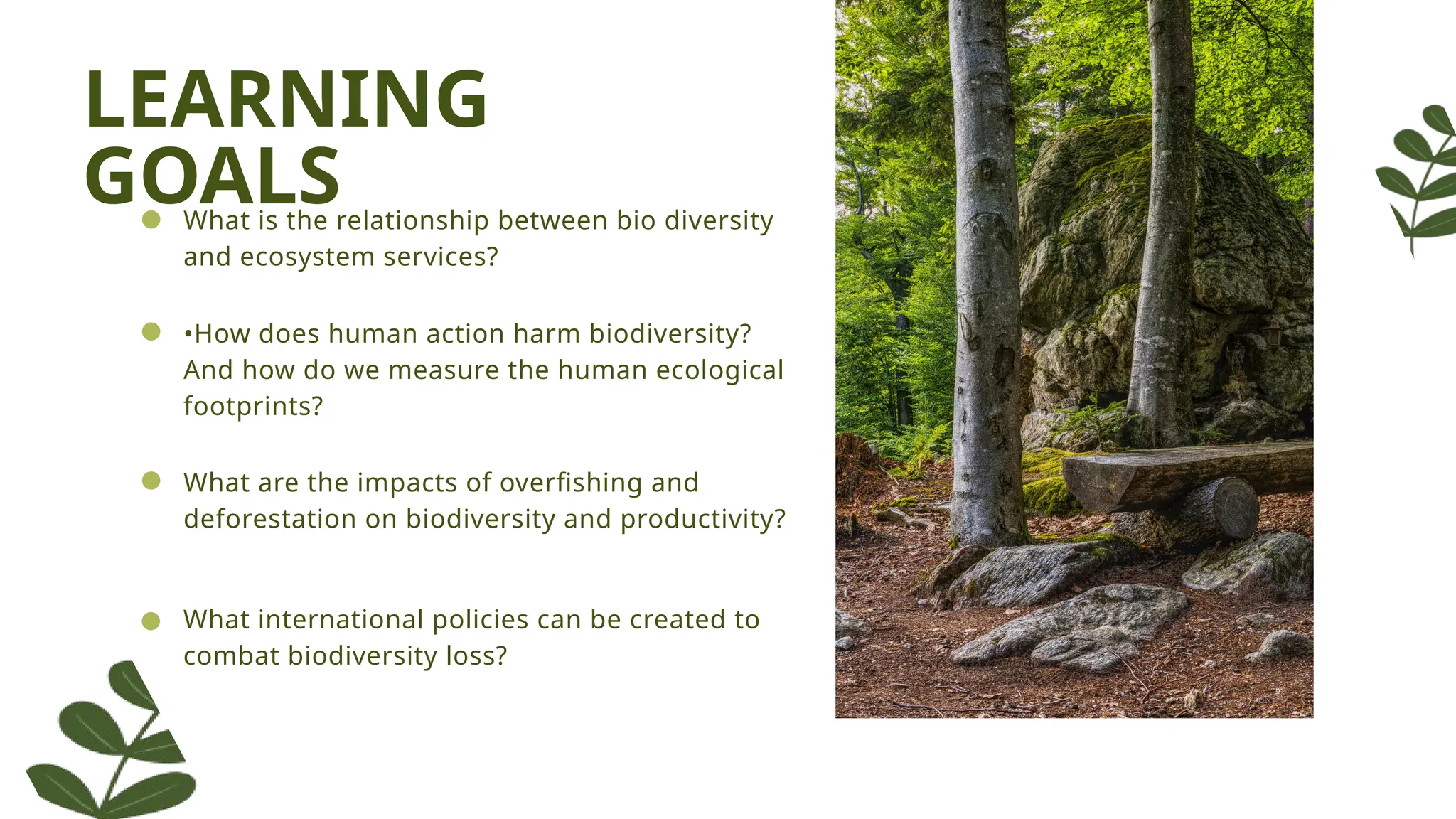Saving Biodiversity & protecting ecosystem services.pptx