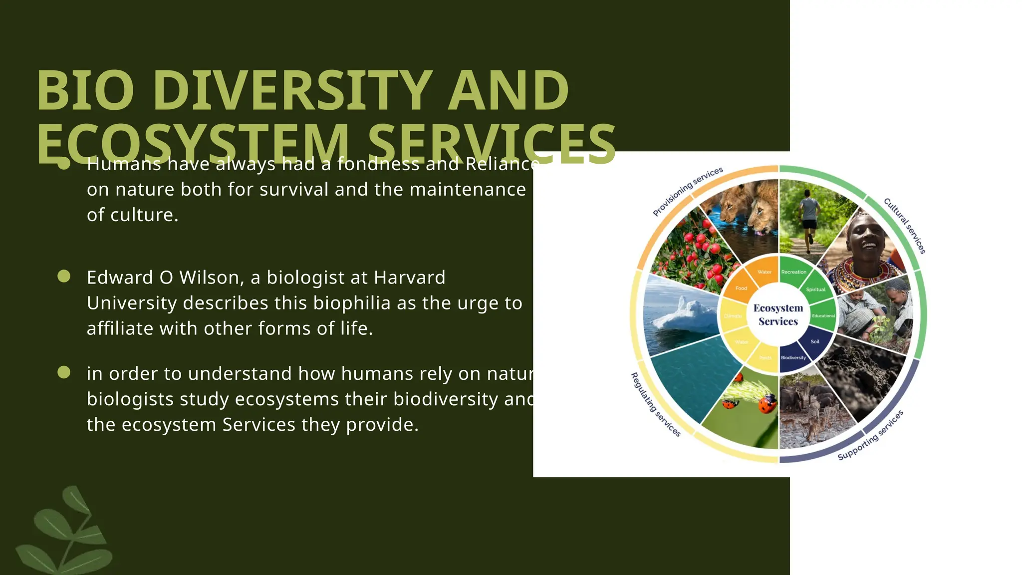 Saving Biodiversity & protecting ecosystem services.pptx