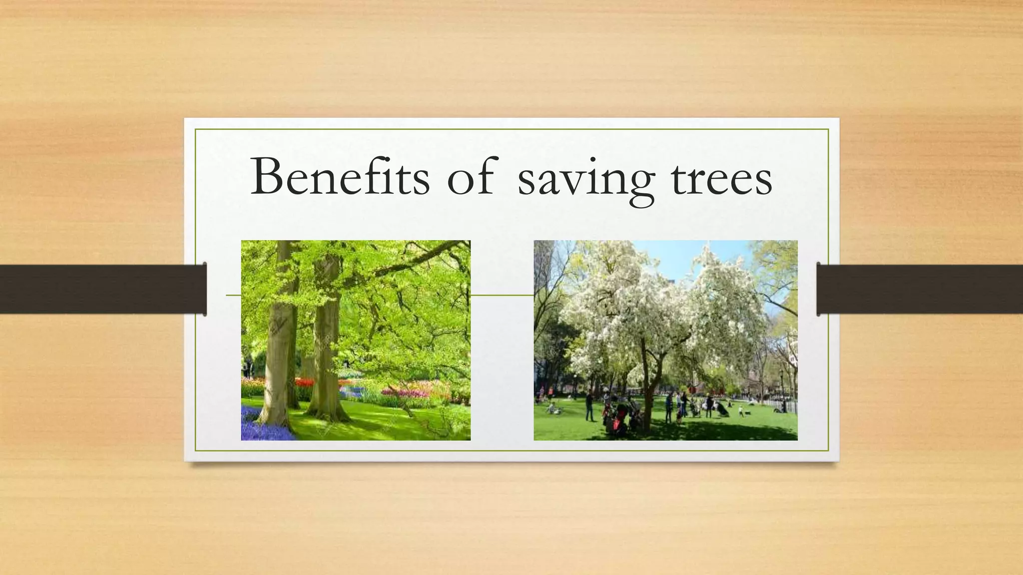 Benefits of saving trees | PPT
