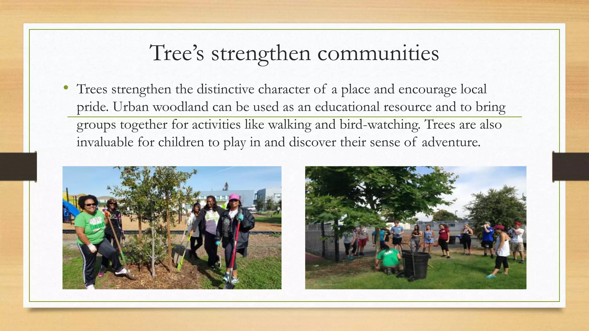 Benefits of saving trees | PPT