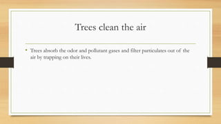 Benefits of saving trees | PPT