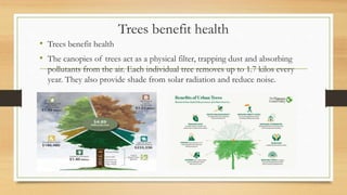 Benefits of saving trees | PPT