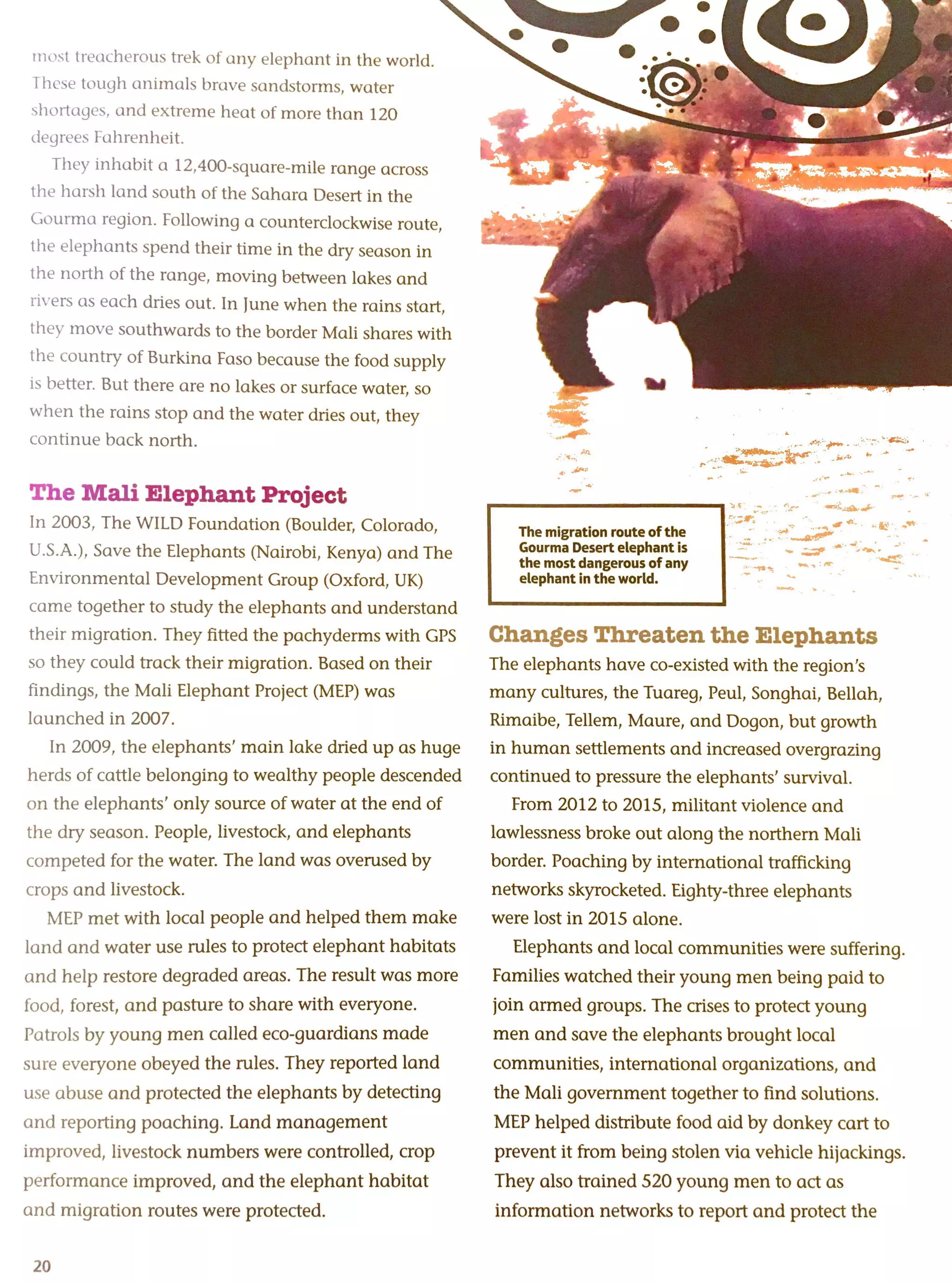 Saving Mali's Migrating Desert Elephants by Colette Weil Parrinello ...
