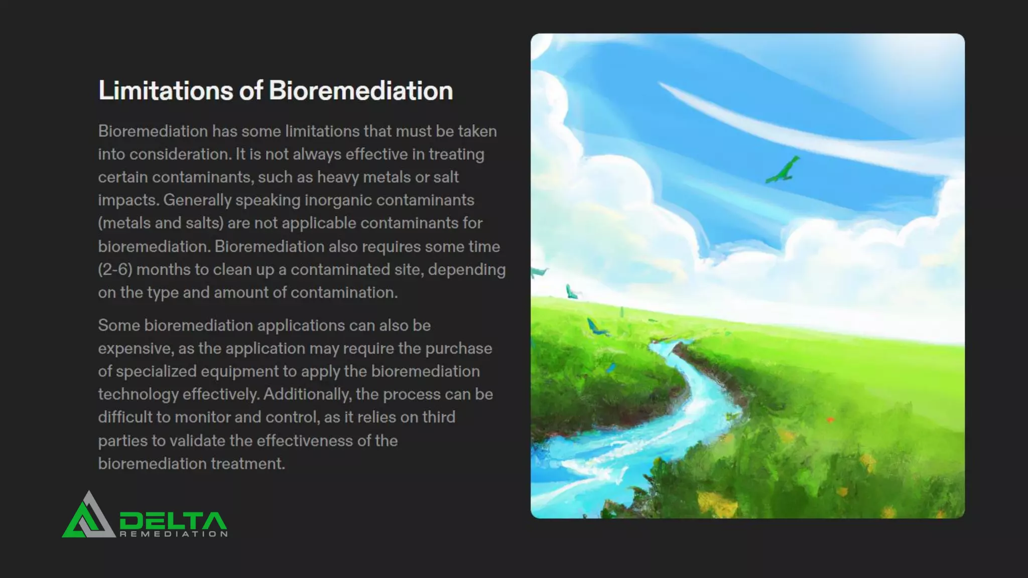 Saving our Soils-Eco-Friendly Bioremediation Solutions.pdf