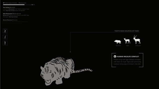 Saving Our Stripes Project Brief | PPT