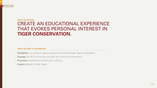 Saving Our Stripes Project Brief | PPT