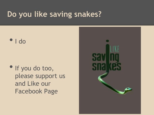 'Saving Snakes - 2014' by Royjan Taylor | PPT