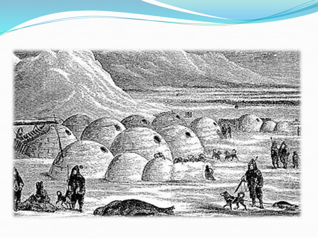 Saving the arctic. | PPTX