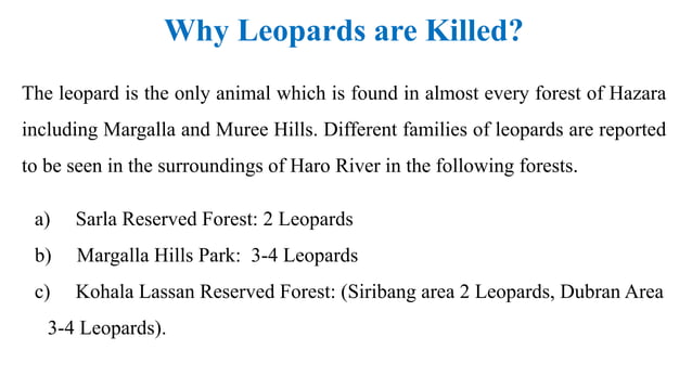 Saving the common leopards in Pakistan | PPT