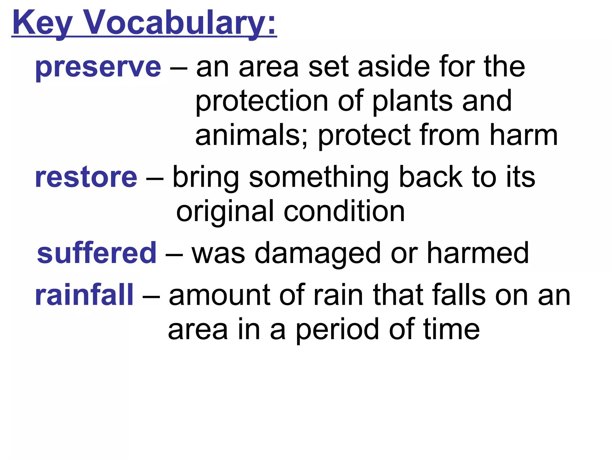 Saving the Sand Dunes Focus Wall | PPT