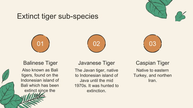 Saving The Tiger-Class 6.pptx