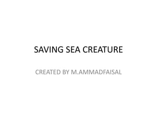 Saving the turtle | PPT