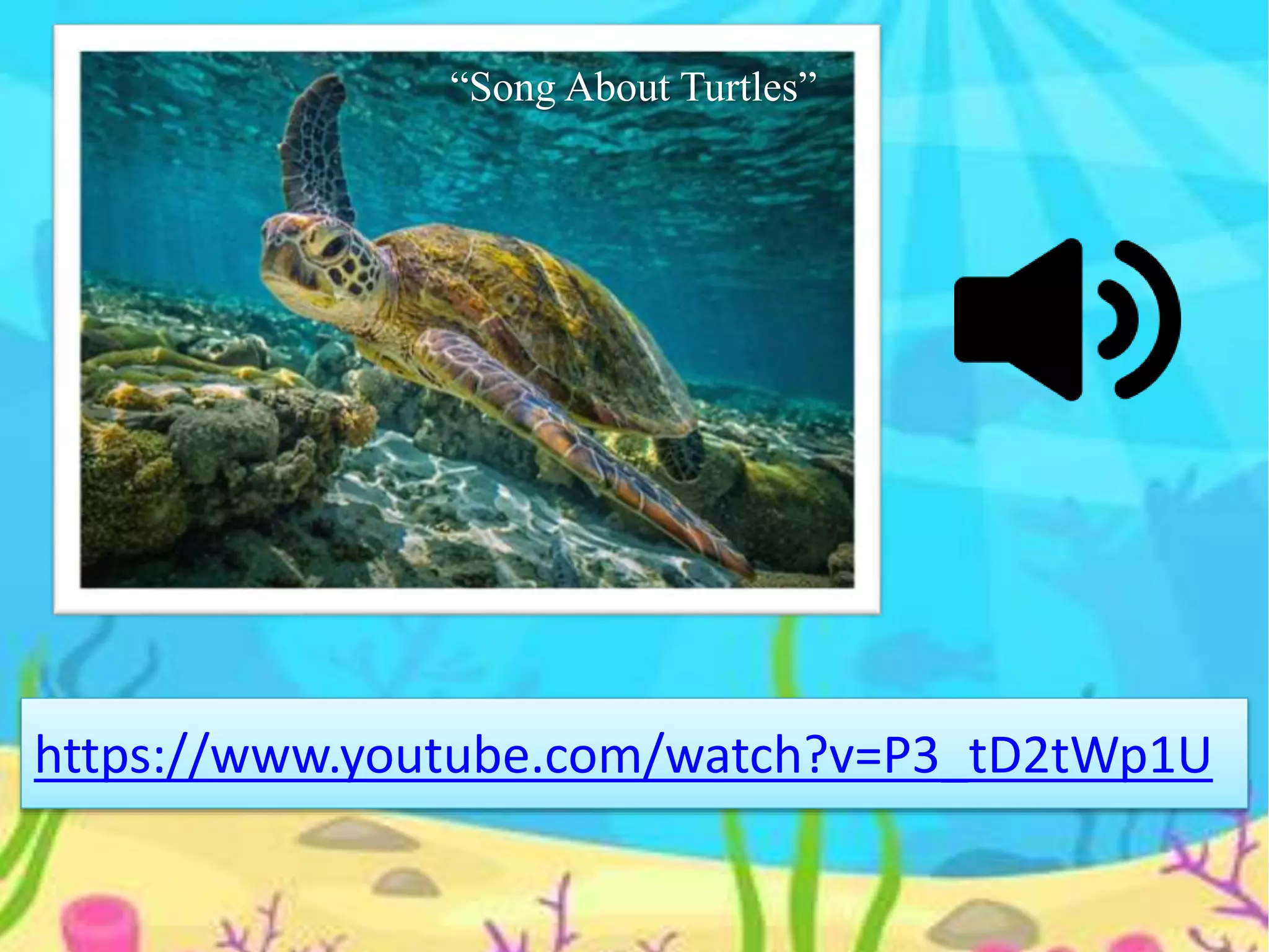 Saving The Turtles Presentation 11 ABM 1 (S.Y. 2019-2020) | PPTX