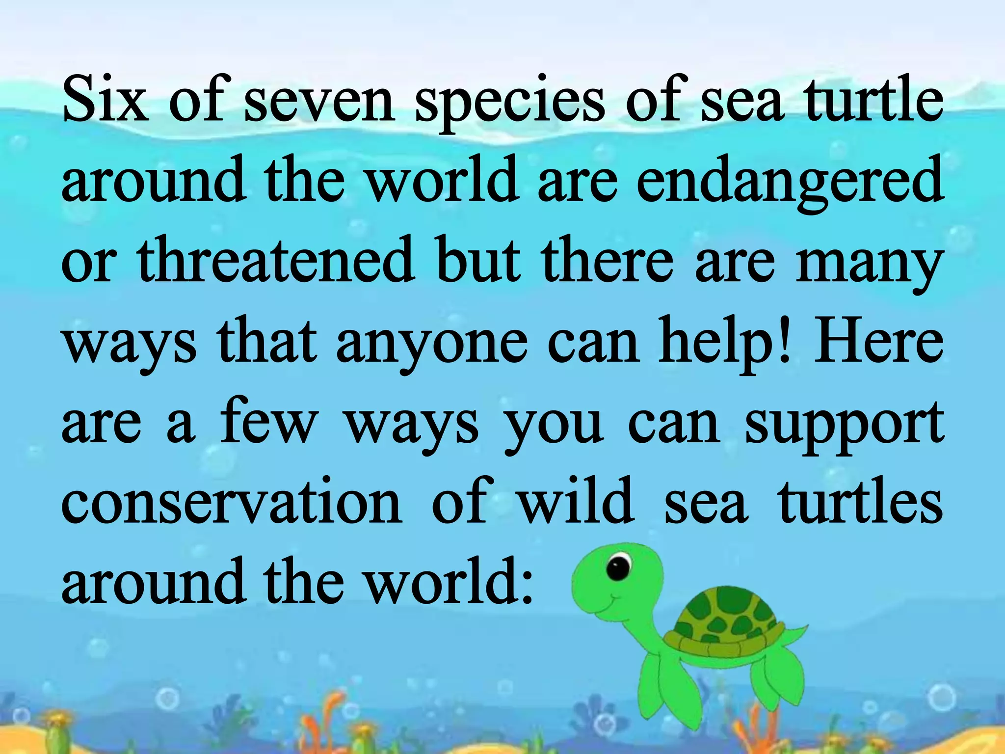 Saving The Turtles Presentation 11 ABM 1 (S.Y. 2019-2020) | PPTX