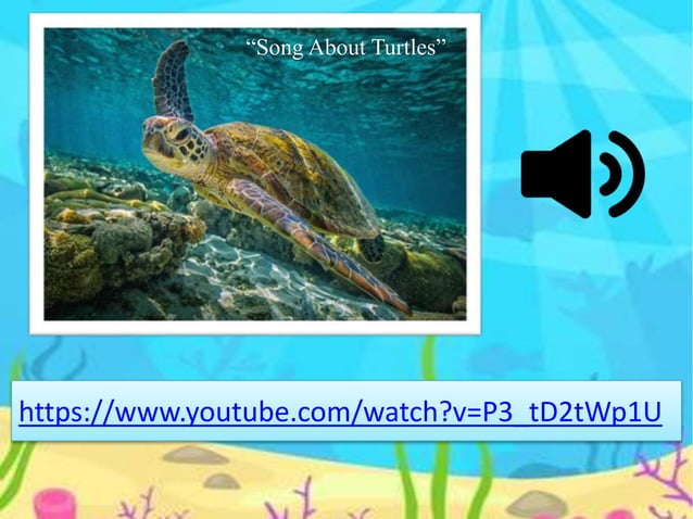 Saving The Turtles Presentation 11 ABM 1 (S.Y. 2019-2020) | PPTX