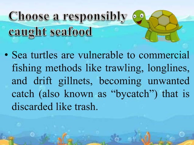 Saving The Turtles Presentation 11 ABM 1 (S.Y. 2019-2020) | PPTX