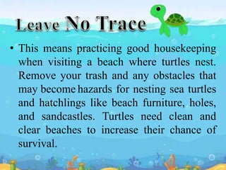 Saving The Turtles Presentation 11 ABM 1 (S.Y. 2019-2020) | PPTX