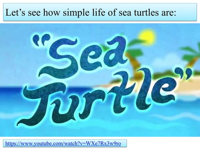 Saving The Turtles Presentation 11 ABM 1 (S.Y. 2019-2020) | PPTX