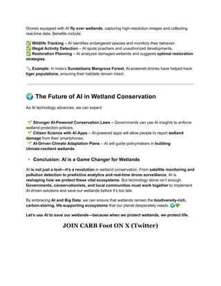 Saving Wetlands with AI How Big Data is Revolutionizing Conservation.pdf