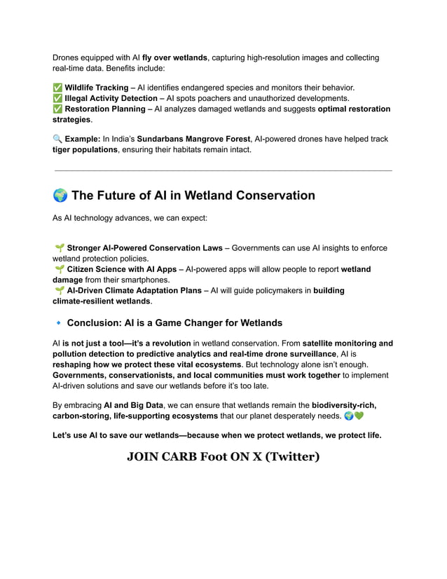 Saving Wetlands with AI How Big Data is Revolutionizing Conservation.pdf