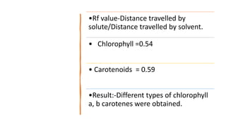 botany presentation on environmental.pptx