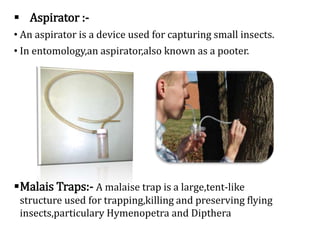 Savitri taxonomy.pptx