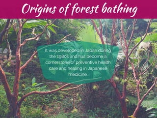 Savour the trees with forest bathing | PDF