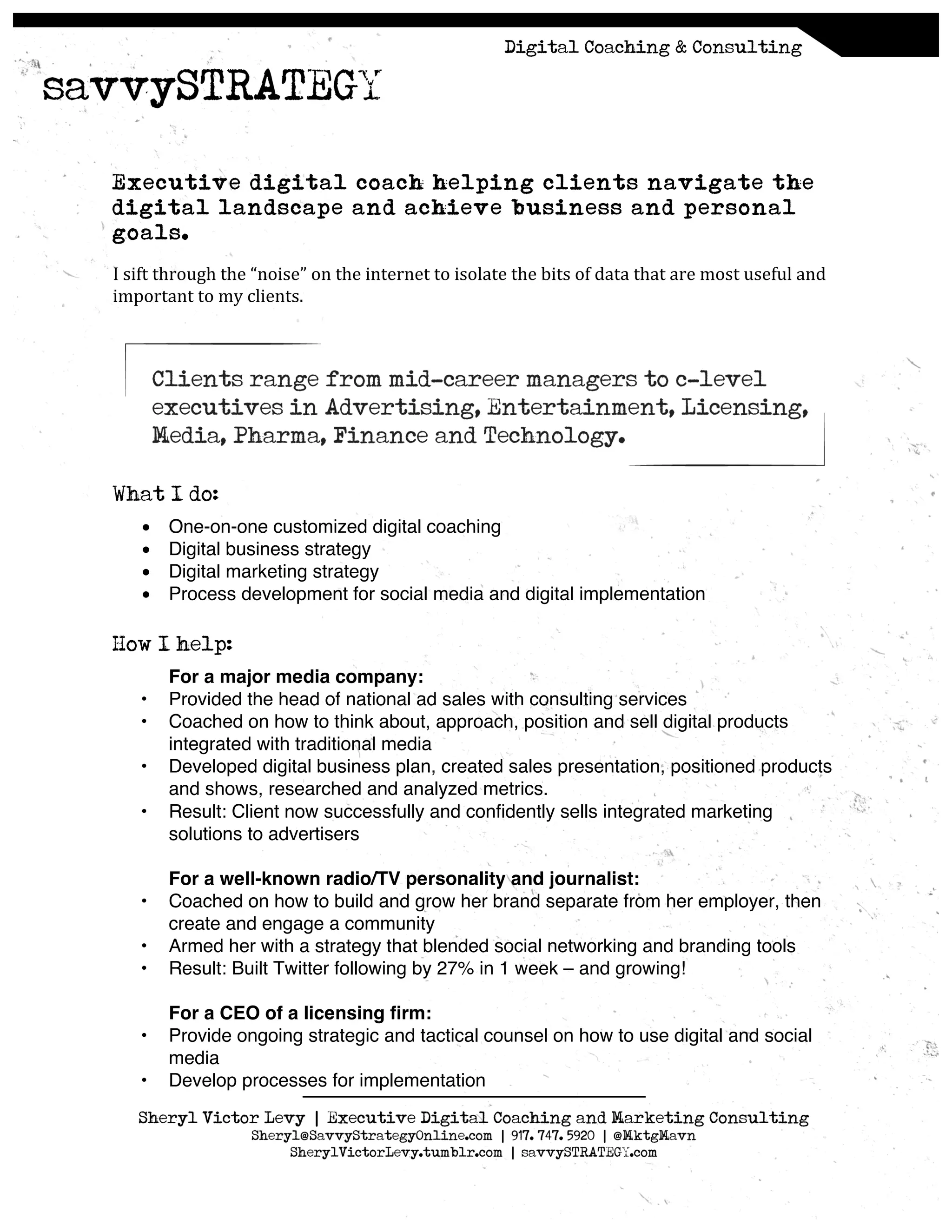 SavvyStrategy Digital Services Overview | PDF