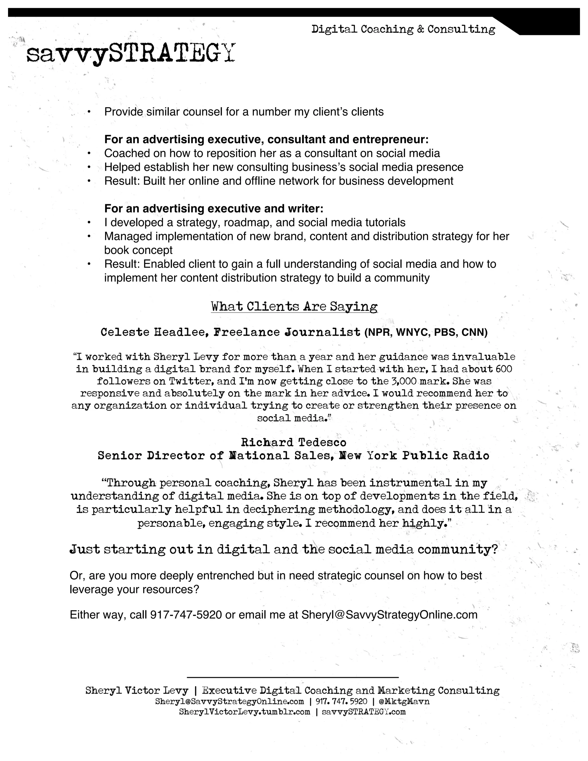 SavvyStrategy Digital Services Overview | PDF