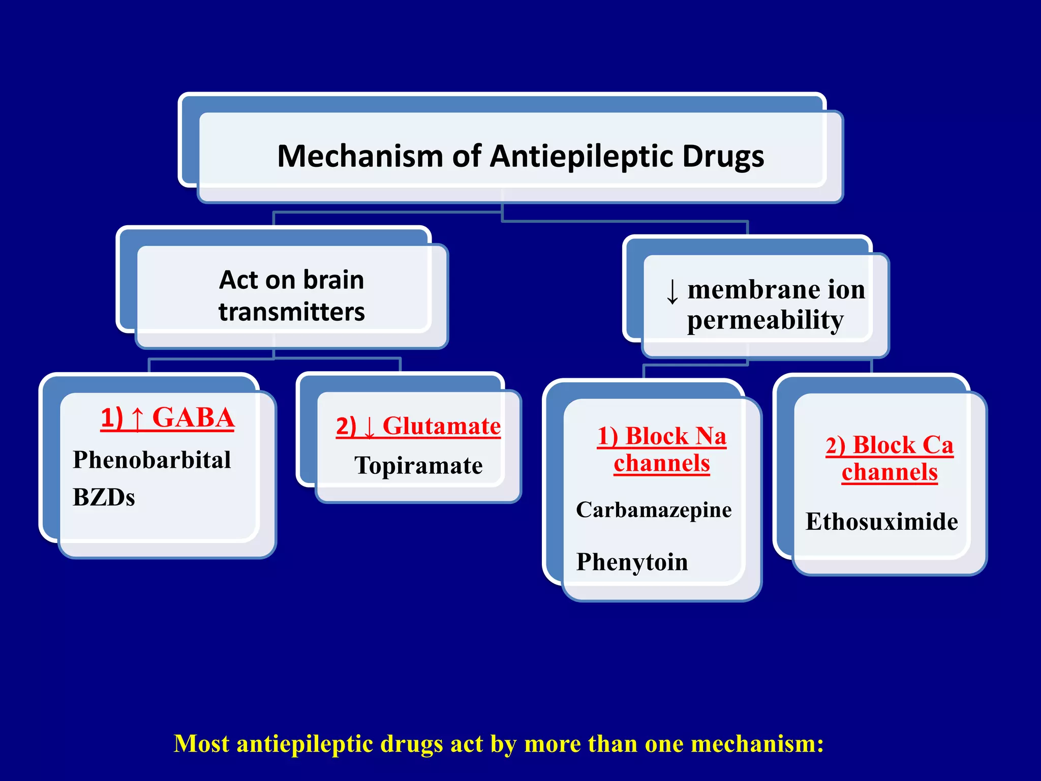 Drug Therapy of Epilepsy (Antiepileptic Drugs) | PDF