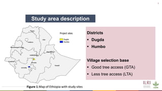 Synergies of Animal Welfare and Agroforestry in Ethiopia (SAWA) | PPT